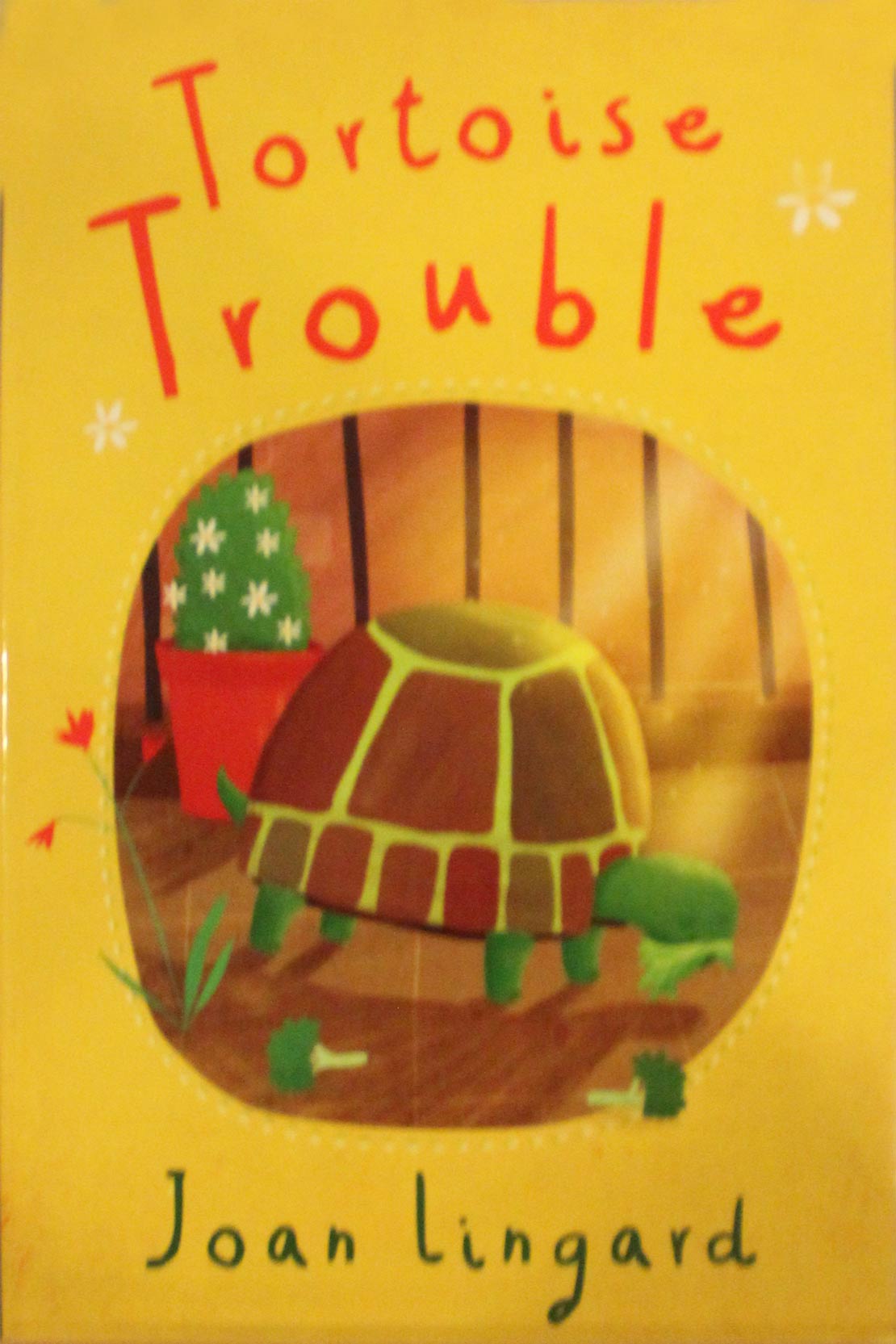 Tortoise Trouble By John Lingard