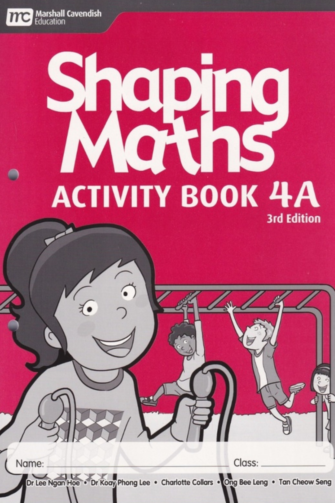 Shaping Mathematics Workbook 4a